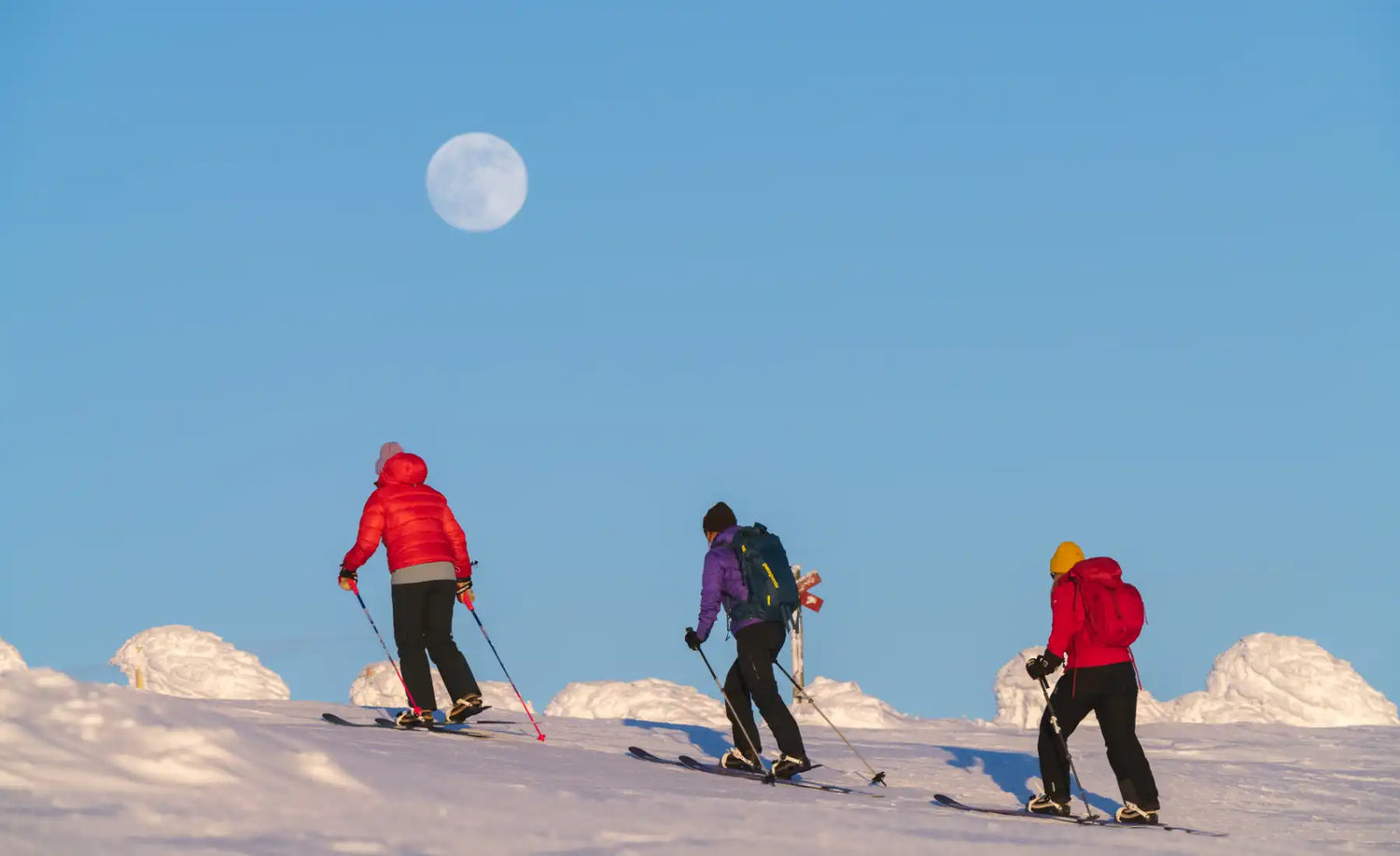 OAC Skinbased skis - Home of backcountry skiing enthusiast